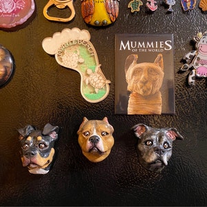 The Spay Neuter Coloring Book Spay Oklahoma Animal Rescue - Etsy