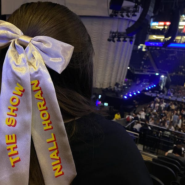 Niall Horan the Show Themed Concert Hair Bow. - Etsy UK