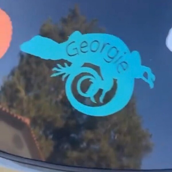 Customizable Name Monitor Vinyl Decal READ DESCRIPTION - Etsy