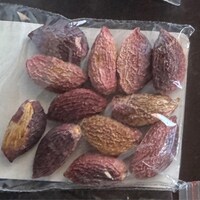 Fernor Walnut Sapling, Grafted Ready to Plant, With Tuberous Soil, 2 ...