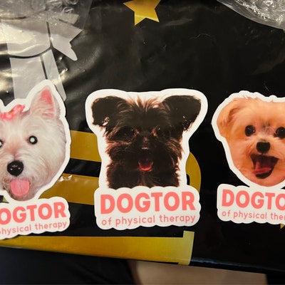 What the PEC Physical Therapist Sticker Human Anatomy - Etsy