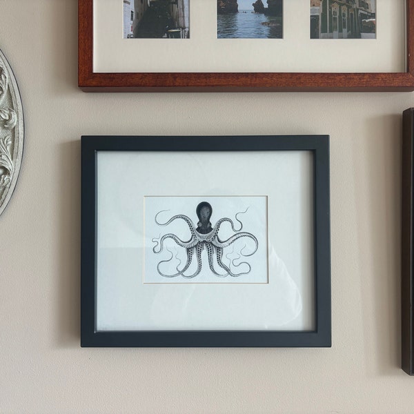 Octopus Print, Home Decor, Office Art, 8x10 / 8x8 Square / 5x7 Print ...