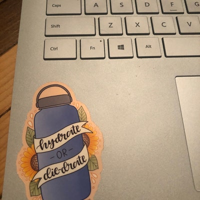 Hydrate or Diedrate Sticker Stickers for Hydroflask Laptop - Etsy