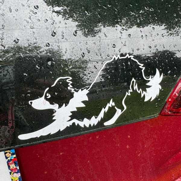 Border Collie Sticker for Border Collie Lover Sticker for Water Bottle ...