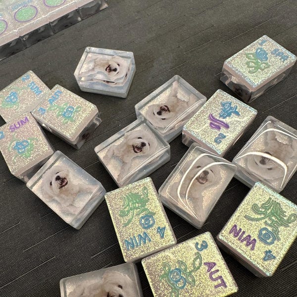 Mahjong Tiles, Custom Mahjong Tile Set, Mahjong Set, American Mahjong ...