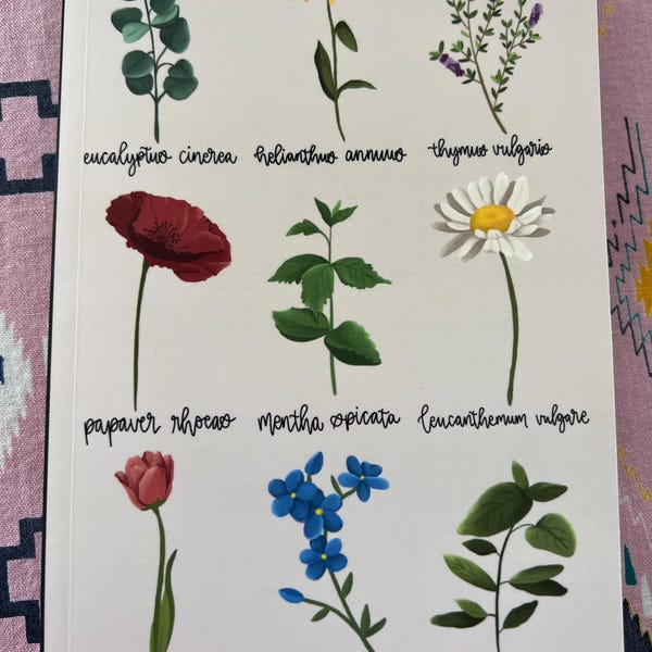 Social Justice Sticker Pack - Etsy