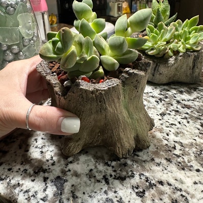 Slanted Artificial Concrete Driftwood Stump Planter, Faux Driftwood ...