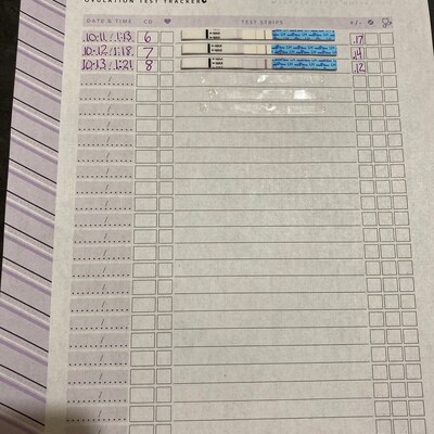 Monthly Budget, Pocket Size Budget Planner, Passport Budget Planner ...