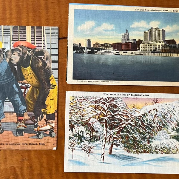 Old Postcards Unused - Assortment of Random Vintage Post Cards From ...