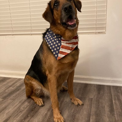 American Flag Dog Bandana, Slides Over the Collar, Cat Bandana, Dog ...