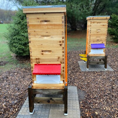 Beehive Stand Langstroth Beehive Stand Heavy Duty Beehive - Etsy