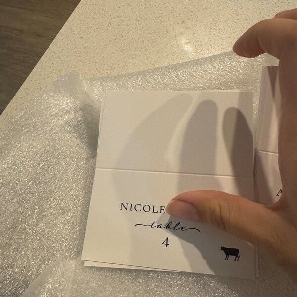 Printed Place Cards for Wedding Table Name Cards Personalized Place ...