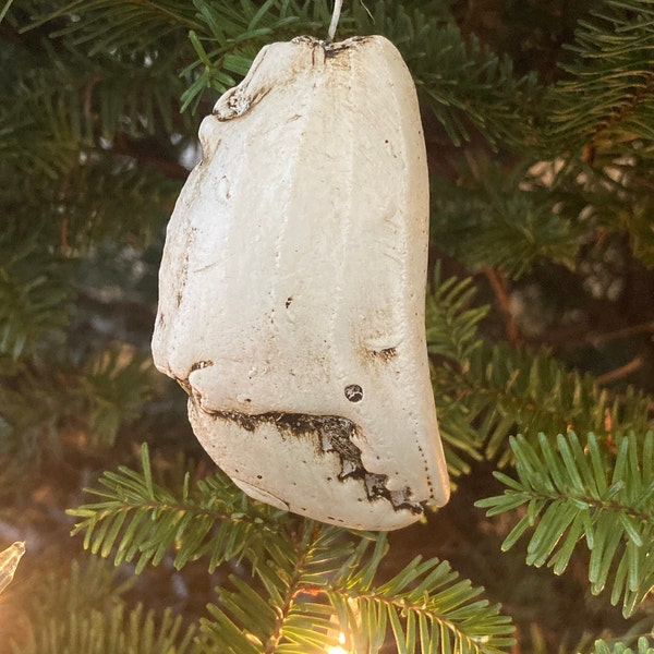 Barnacle Wall Relief Maine Gifts, Barnacle Gift, One of a Kind Art ...