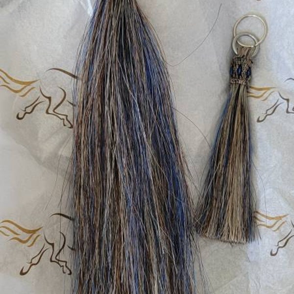 Horsehair Shu-fly, Horsehair Shoofly, Unique Rainbow Colors - Etsy