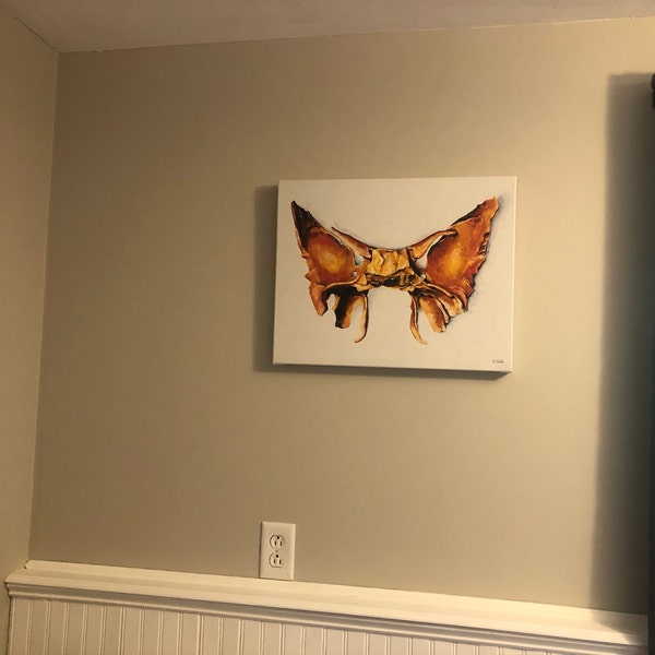 Sphenoid Canvas Print - Abstract Bone Anatomy - Oil on Canvas Art Print ...