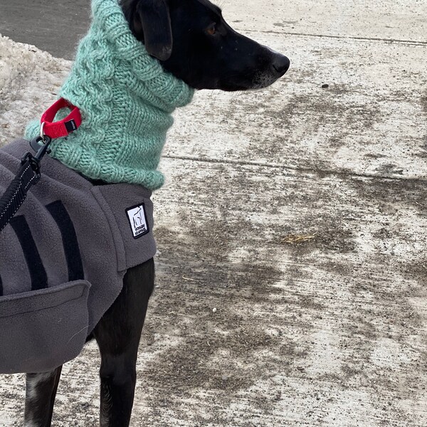 Greyhound Snood 2-TONE Med-lrg Dog Winter. Galgo, Whippet. Made to ...