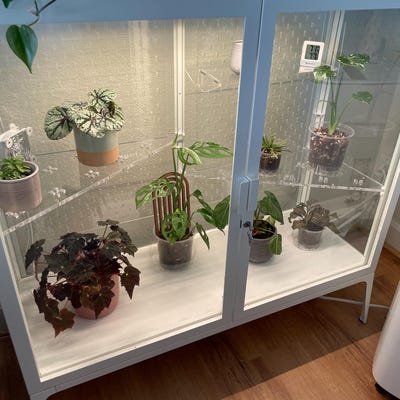 V2 Milsbo Tall Series Acrylic Shelves and Accessories - Etsy