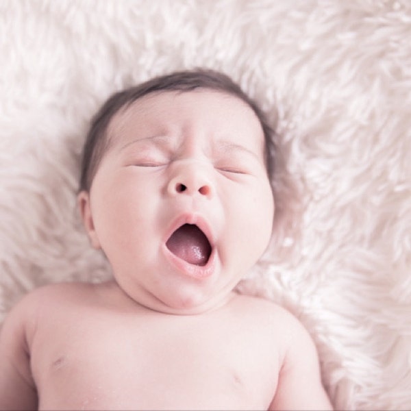 Procreate Colour Palette, Procreate Swatches, Earthy Boho Colour ...