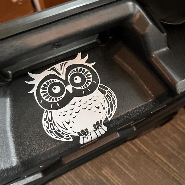 Owl Vinyl Decal - Etsy