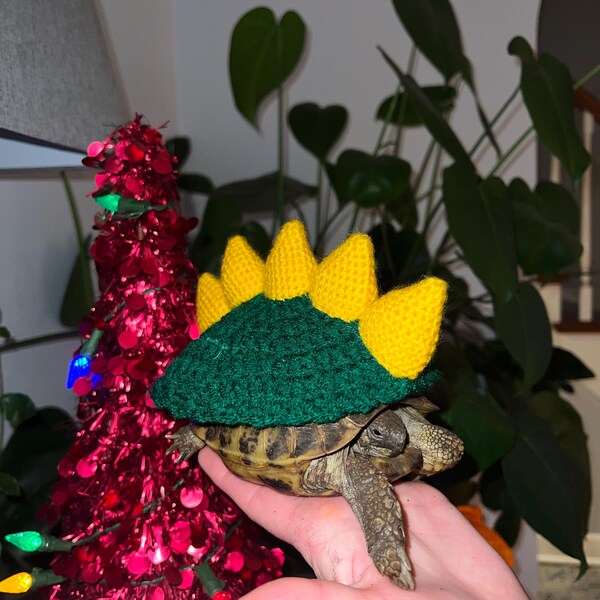 Tortoise Crochet Outfit Rainbow Dinosaur Tortoise Shell Costume on Sale ...