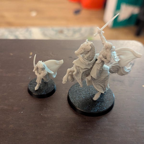 West Human Royal Guard Banner 28mm Dnd Miniature Dungeon and Dragons ...