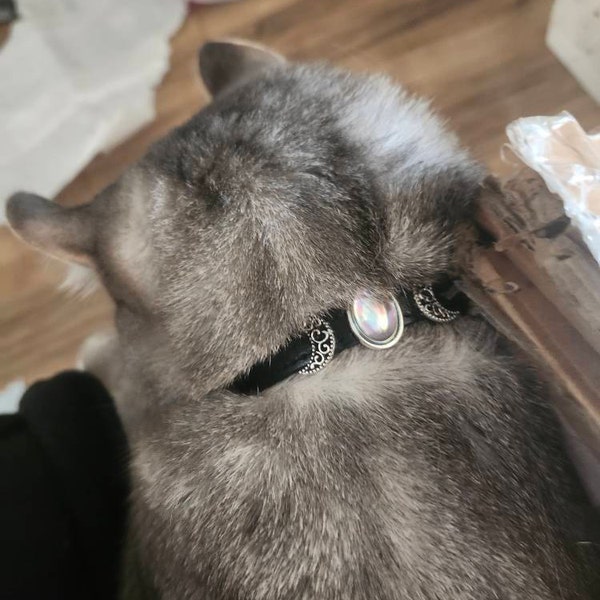 Crystal Cat Collar, Victorian Collar, Rose Quartz Collar, Witches Cat ...