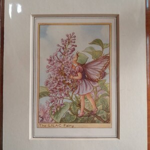 Flower Fairies/fairy: the DAFFODIL FAIRY, Vintage Print, 1930's/40's ...