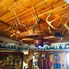 SUPER COOL MELTED Tine Look Whitetail Deer Antlers Taxidermy Horns Rack ...