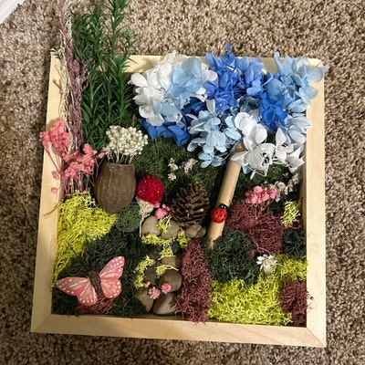 Real Dried Mix Moss Craft Making Moss for Crafts Fairy Garden Moss ...