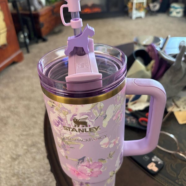 Tiny Heart Articulating Winged Dragon | Sensory Fidget Toy | ADHD ...