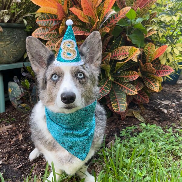 Custom Mini Fun Party Hat, FIRST Birthday, 1st B-day Hat, Girl Boy Dog ...