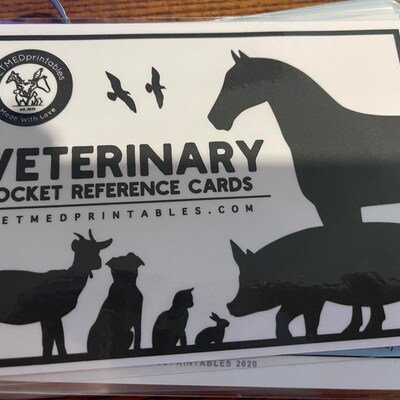 Anatomy Study Note Template for Veterinary Medical & Science - Etsy