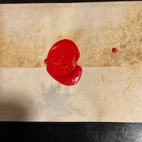 Strahd Zadrovich Family Crest Wax Seal Stamp Vampire Wedding Invitation ...