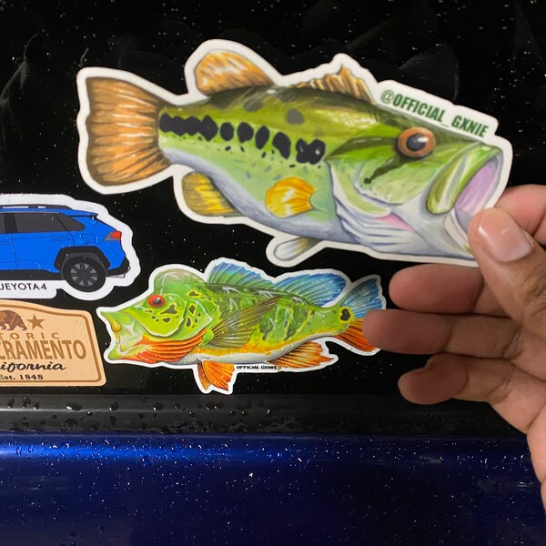 Peacock Bass Original - Etsy
