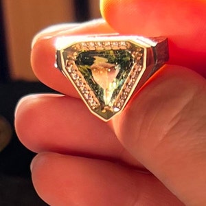 Deluxe House Signet Ring the Serpent Sterling Silver and | Etsy