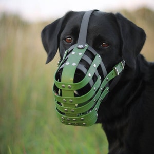 Personlized and Tailor-made Dog Muzzle Colourful Custom-made | Etsy