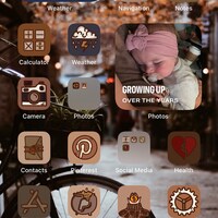 70 Cute Flowers Desktop Folder Icons Mac Windows Folders - Etsy Canada