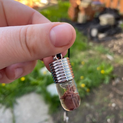 My Heart is Yours Pendant Real Rat Heart in a Glass Vial Oddity in a ...