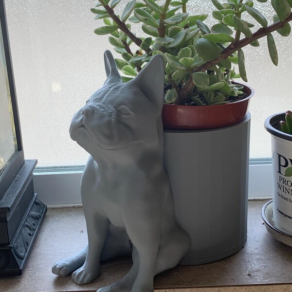 Frenchie Head Pot - Etsy