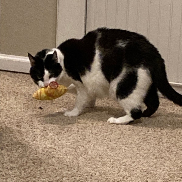 French Fries Catnip Toy, Fast Food, Chips, Junk Food - Etsy