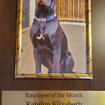 Personalized Newspaper Plaque Simply Provide the Article and Optional ...