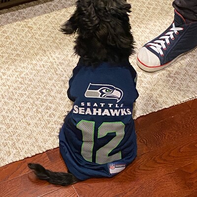 Seattle Seahawks 12 Licensed Mesh Pet Shirt - Etsy