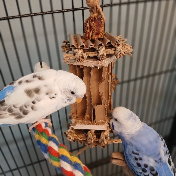 Crazy Daisy - Natural Grass Chew Toy for Small and Medium Sized Birds ...