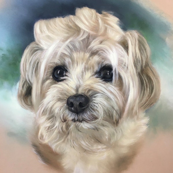 Pet Portrait Custom Pet Portrait Pastel Drawing Pet Portrait Custom Dog ...