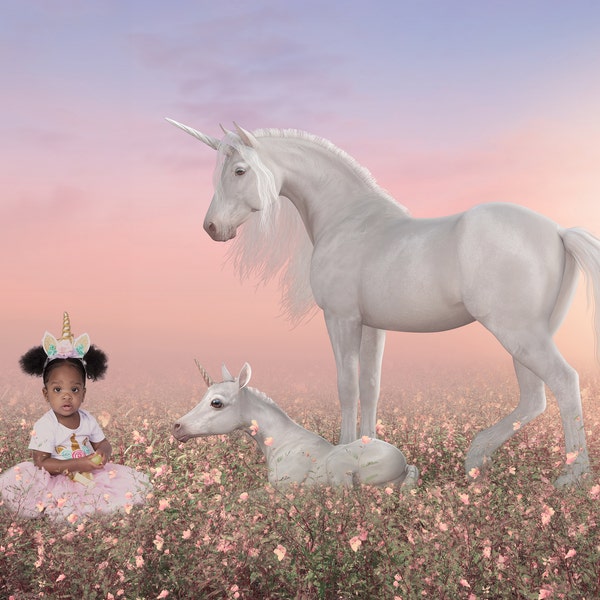 Ultimate Wizard Inspired Mega Bundle Pack Digital Backgrounds and Other ...