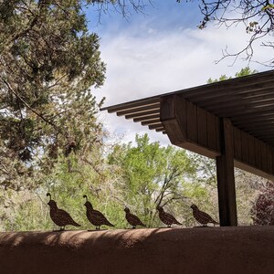 Rustic Metal Raccoon Rusty Yard Art. - Etsy