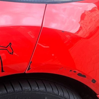 Cartoon Coyote Crash - Etsy