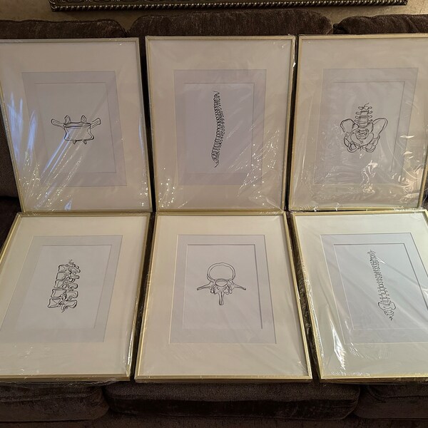 6 Human Bone Drawing Art Prints, Skeleton Wall Art Set, Minimal Medical ...