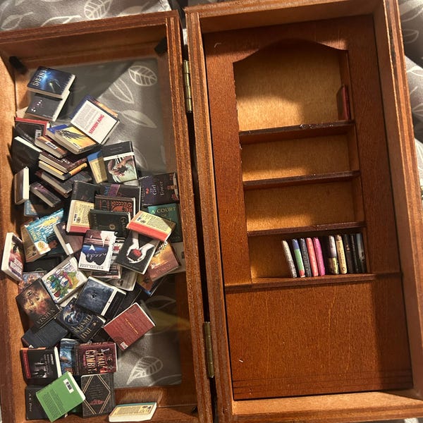 Personalised Edition Anxiety Bookcase, Book Lover Gift, Miniature ...