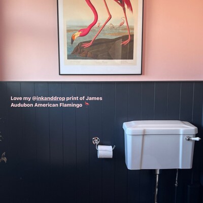 Pink Flamingo Vintage Art Print, Birds of America Decor, Antique Bird ...